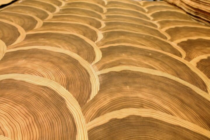 Шпон: что это, отличия, достоинства и недостатки